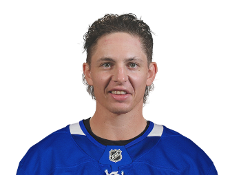 Troy Stecher Stats, News, Videos, Highlights, Pictures, Bio - Detroit ...