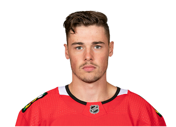 Alexandre Fortin Stats, News, Videos, Highlights, Pictures, Bio - - ESPN