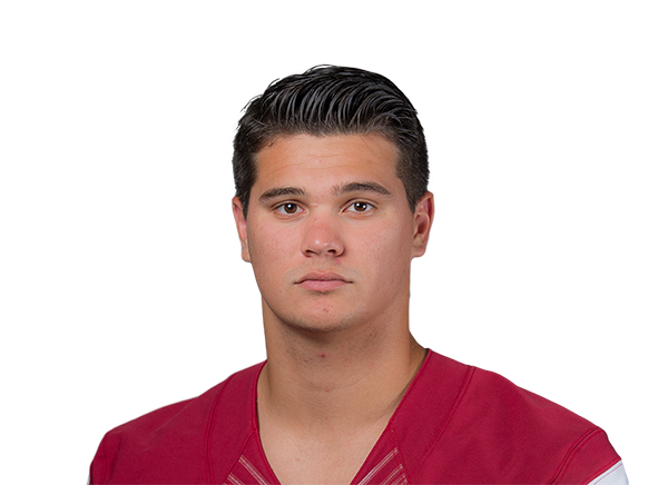 Blake Johnson - Arkansas Razorbacks Punter - ESPN