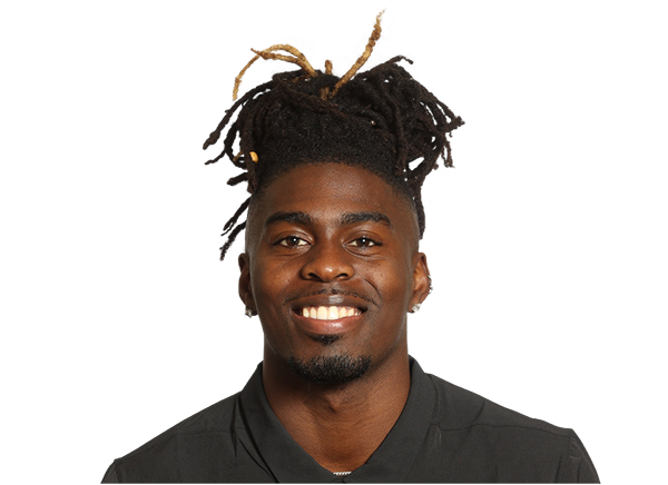 Isaac James-Gray - Youngstown State Penguins Wide Receiver - ESPN