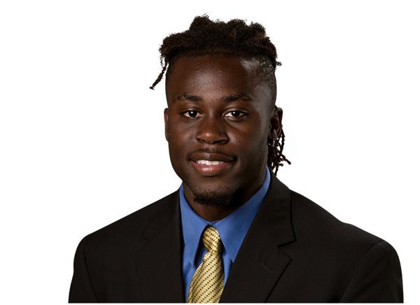 Tyler Hamilton - North Greenville Crusaders Wide Receiver - ESPN