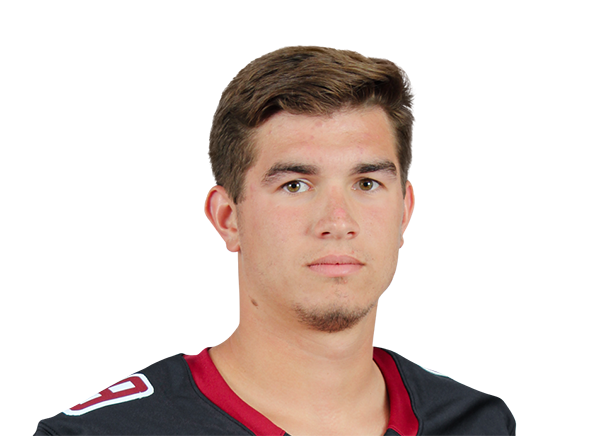 Luke Wilson - New Mexico State Aggies Quarterback - ESPN (UK)