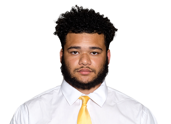 Jacob Prince - Southern Mississippi Golden Eagles Tight End - ESPN