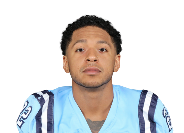 Garrison Johnson - The Citadel Bulldogs Running Back - ESPN