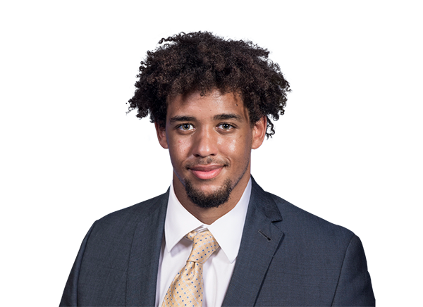 Brian Hibbard - Rice Owls Fullback - ESPN