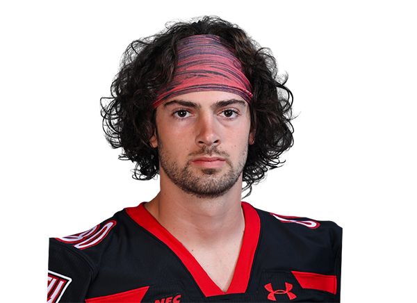 Aaron Tutino - St. Francis (PA) Red Flash Wide Receiver - ESPN