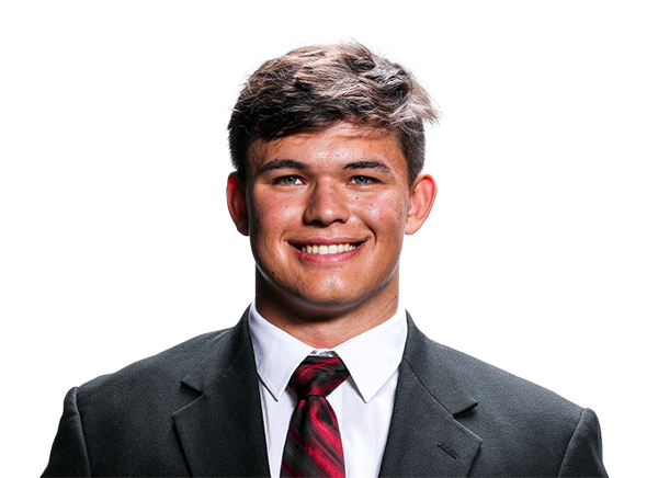 Aaron Steinfeldt - UAlbany Great Danes Tight End - ESPN