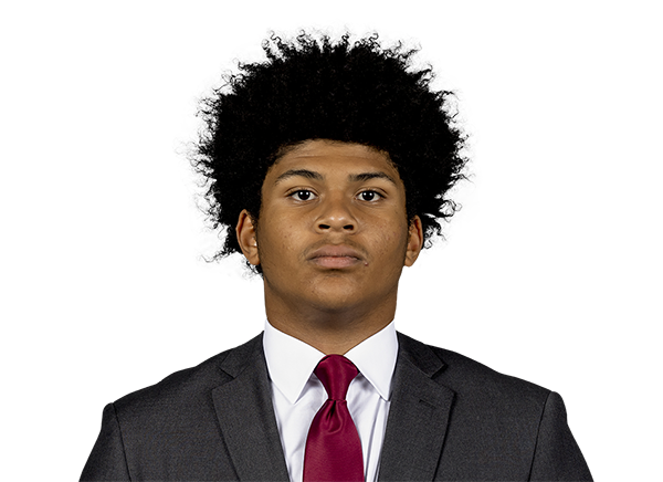 Trey Bixby - Minnesota Golden Gophers Defensive Lineman - ESPN