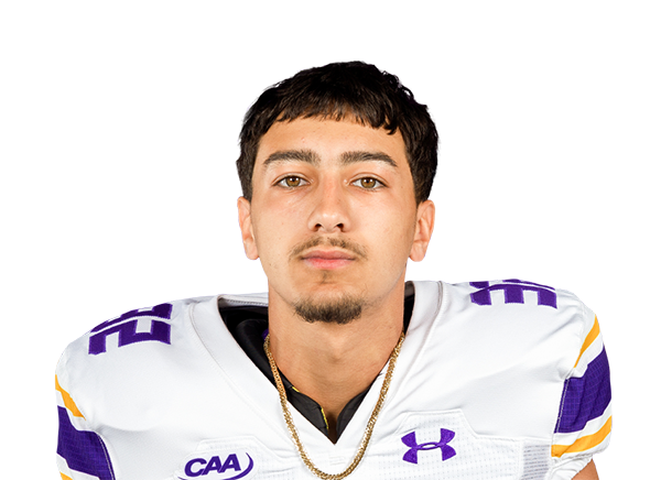 Nick Alvarado - Limestone Saints Defensive Back - ESPN