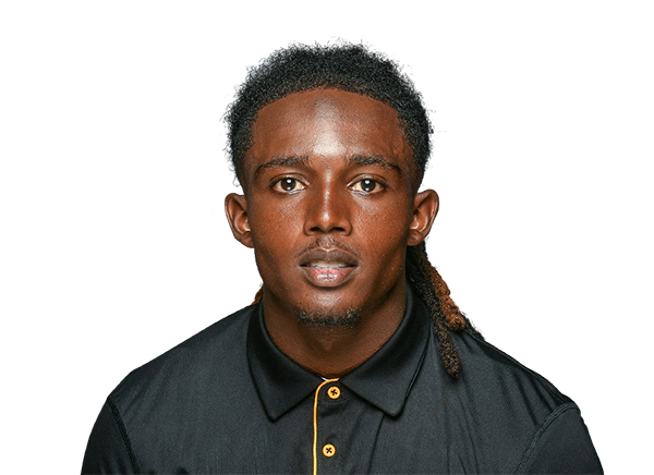 Jalen Johnson - South Carolina State Bulldogs Wide Receiver - ESPN