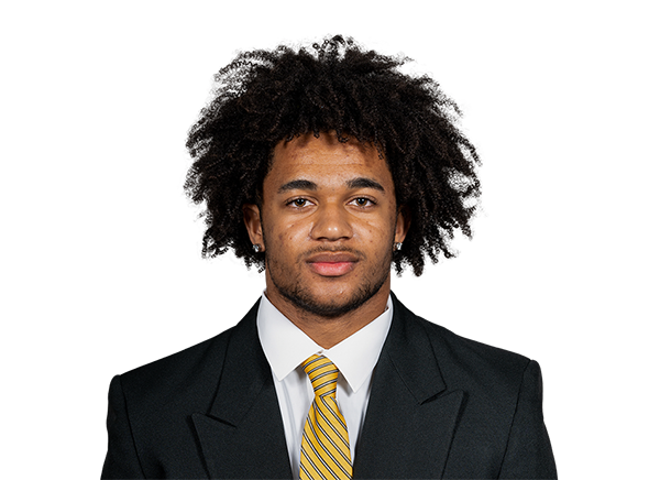 Andre Hodge - Wake Forest Demon Deacons Defensive Back - ESPN