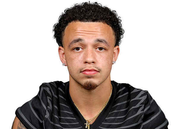 Austin Holland - Louisville Cardinals Wide Receiver - ESPN