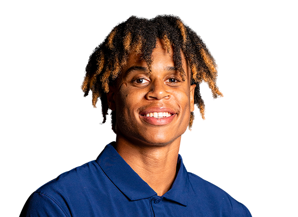 Noah Young - Samford Bulldogs Wide Receiver - ESPN