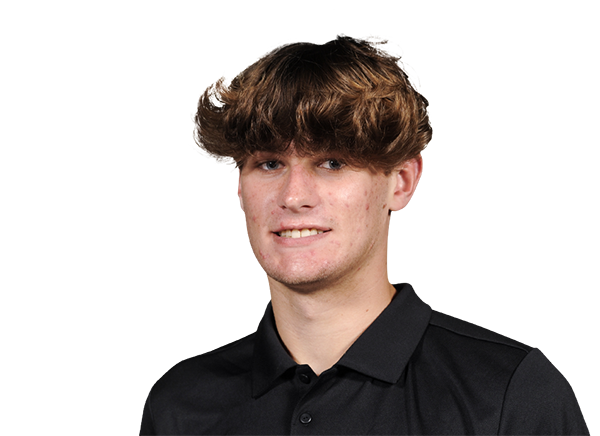 Daniel Nelson - Wofford Terriers Wide Receiver - ESPN