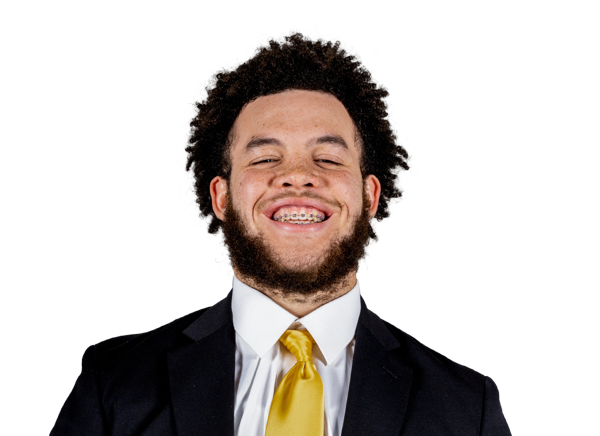 Brandon Hoyle - Wake Forest Demon Deacons Defensive Lineman - ESPN