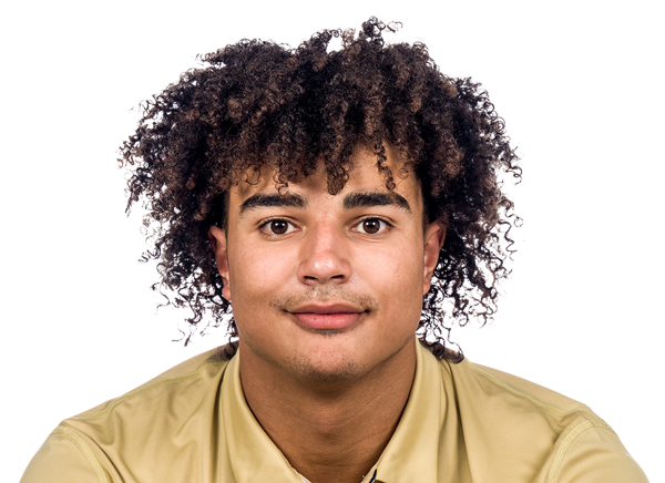 Josh Petty - Georgia Tech Yellow Jackets Offensive Lineman - ESPN