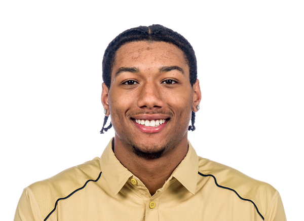 Christian Pritchett - Georgia Tech Yellow Jackets Defensive Back - ESPN