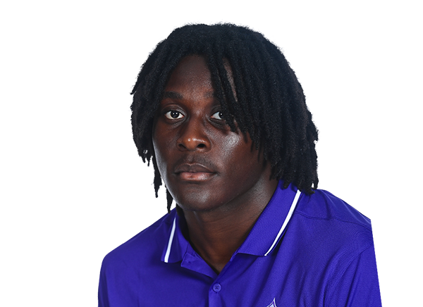 David Alabi - Furman Paladins Defensive End - ESPN