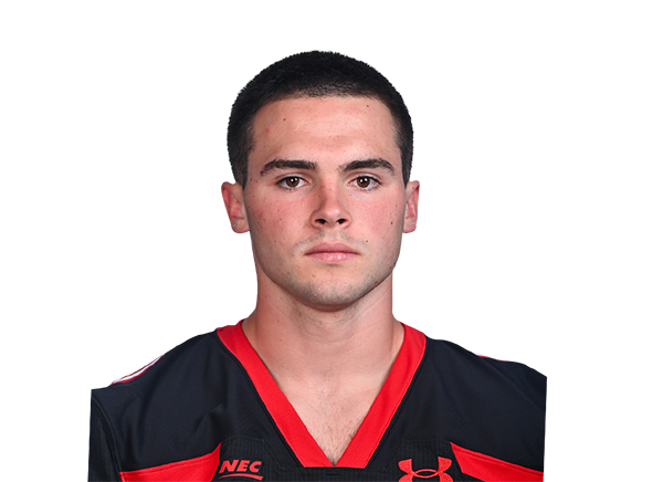 Johnny McGhee - St. Francis (PA) Red Flash Wide Receiver - ESPN