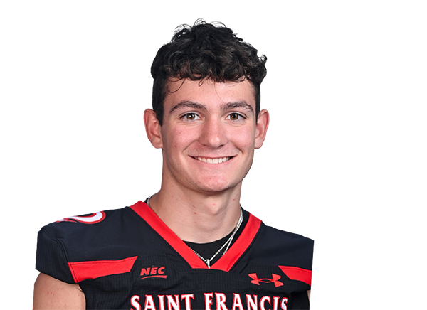 Tanner Trybus - St. Francis (PA) Red Flash Wide Receiver - ESPN