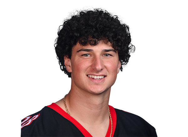 William Omahen - St. Francis (PA) Red Flash Wide Receiver - ESPN