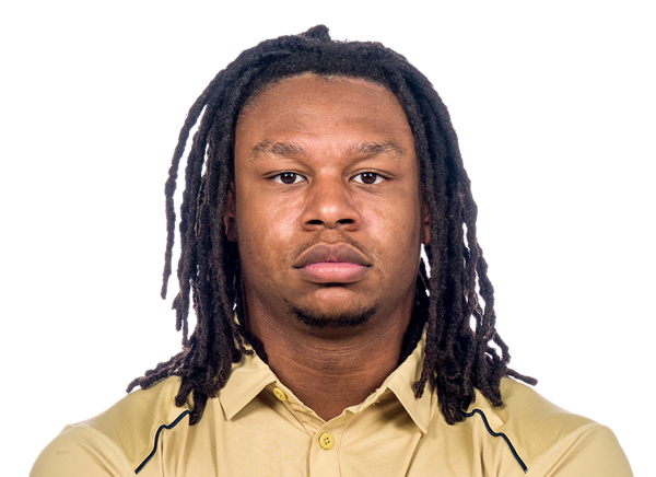 Malachi Hosley - Georgia Tech Yellow Jackets Running Back - ESPN