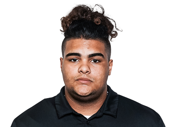 TJ Harold - Incarnate Word Cardinals Defensive Lineman - ESPN