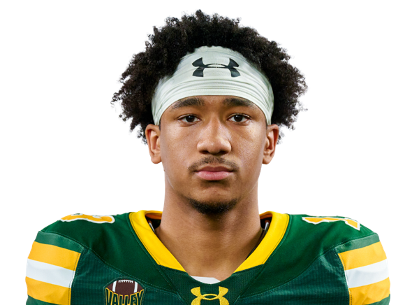 Najee Nelson - North Dakota State Bison Cornerback - ESPN