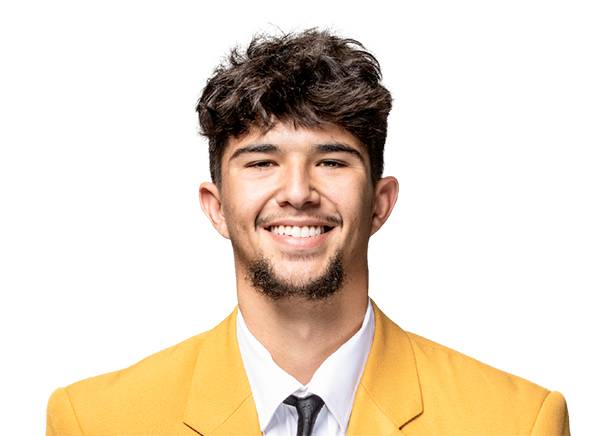 AC Swadling - Arkansas-Pine Bluff Golden Lions Defensive Back - ESPN