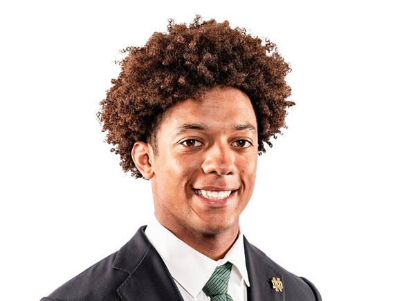 Brandon Logan - Notre Dame Fighting Irish Safety - ESPN