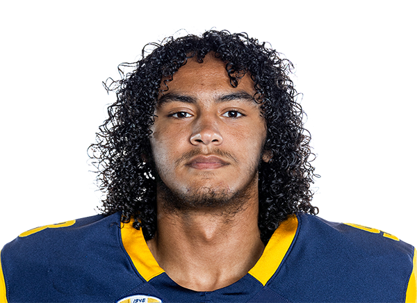 Jaihien Roy - Kent State Golden Flashes Defensive Lineman - ESPN