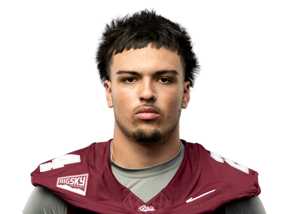 Diezel Wilkinson - Montana Grizzlies Safety - ESPN