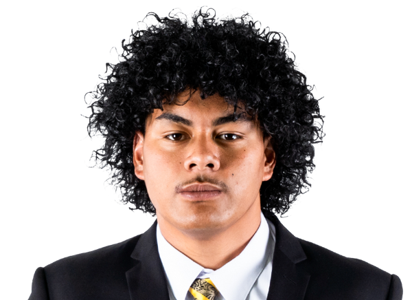 Titus Ringor - Idaho Vandals Defensive Lineman - ESPN