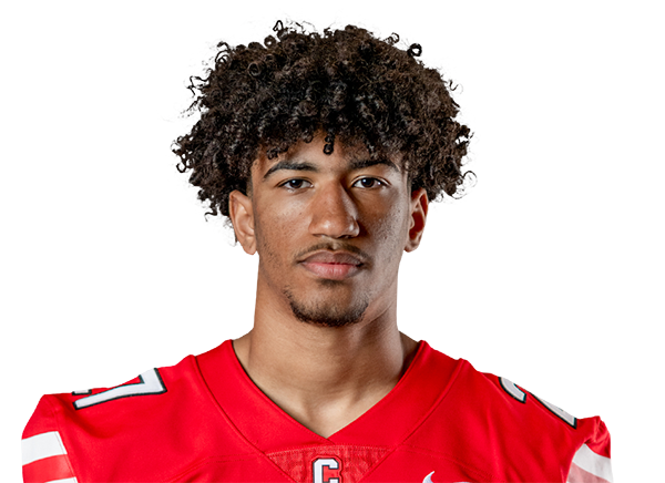 Tyler Gibson - Cornell Big Red Cornerback - ESPN