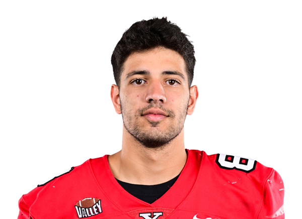 Colin Seibert - Youngstown State Penguins Quarterback - ESPN