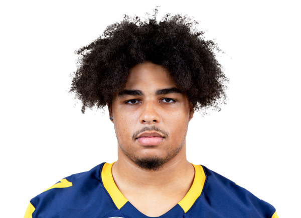 Darian Blachewicz - Kent State Golden Flashes Defensive Lineman - ESPN