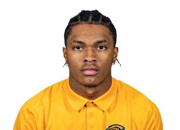 Dylan King - Southern Miss Golden Eagles Safety - ESPN