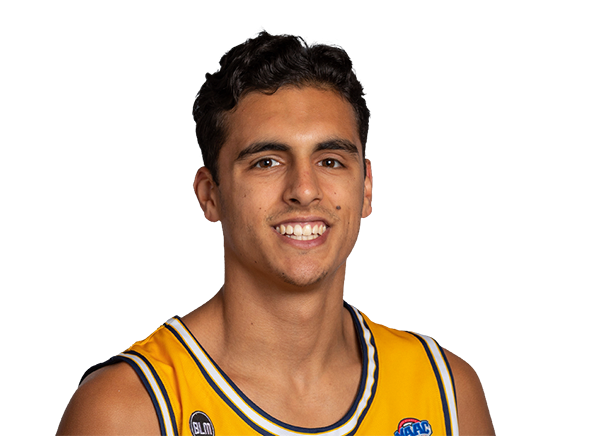 Mike DiGiulio - Canisius Golden Griffins Guard - ESPN