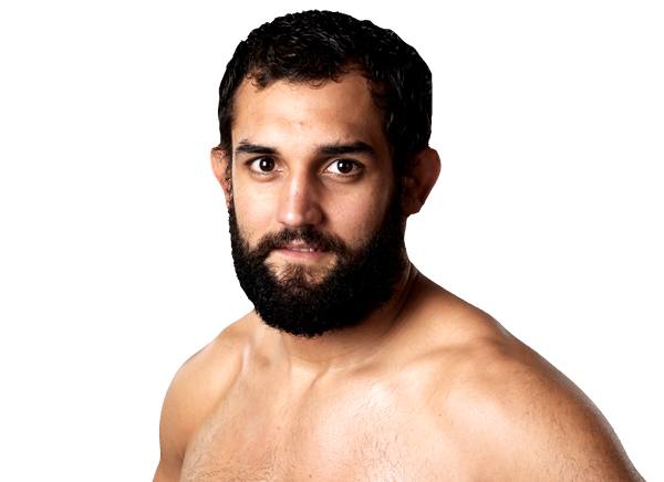 Johny Hendricks Stats, News, Bio | ESPN