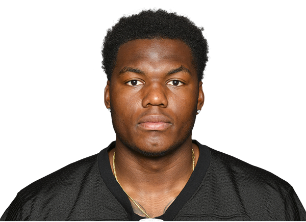 Malik Williams - Running Back do Pittsburgh Steelers - ESPN (BR)