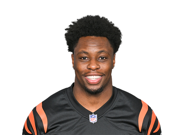 Jeff Gunter - Cincinnati Bengals Defensive End - ESPN