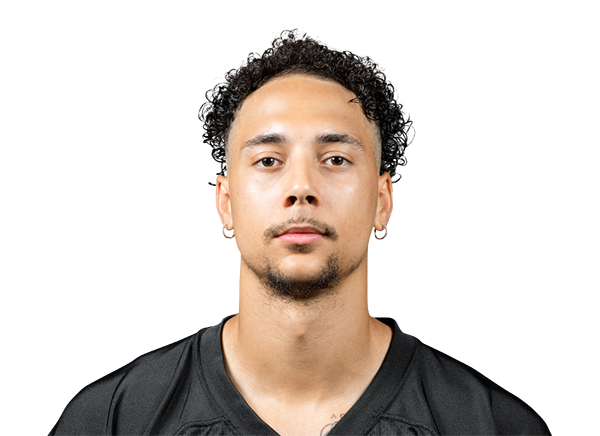 Brayden Lenius - Atlanta Falcons Tight End - ESPN (AU)