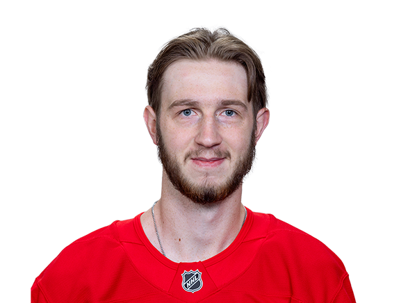 Jan Bednar - Detroit Red Wings Goaltender - ESPN (UK)