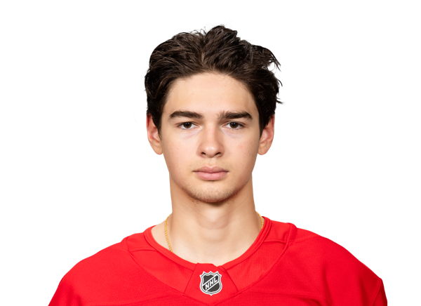 Carter Bear Career Stats - NHL - ESPN