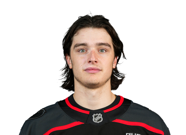 Dominik Badinka Career Stats - NHL - ESPN