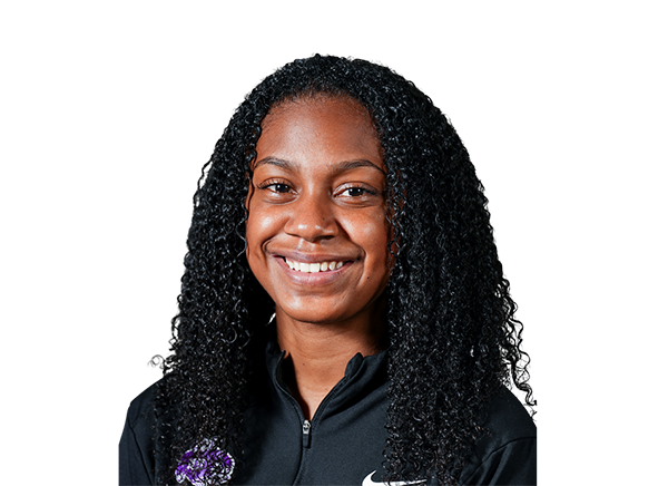 Ary Hicks - Niagara Purple Eagles Guard - ESPN