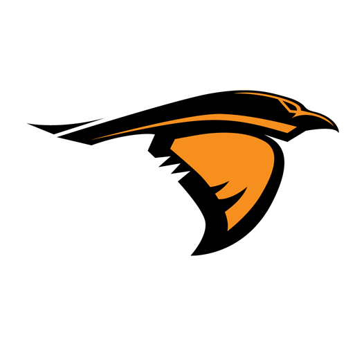 Anderson (IN) Ravens Scores, Stats and Highlights - ESPN (UK)