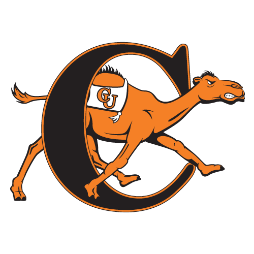 Campbell Fighting Camels 2024 Stats - ESPN (UK)