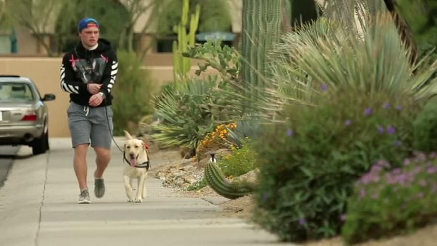 Arizona's impact rookie Domi playing with diabetes - ESPN Video