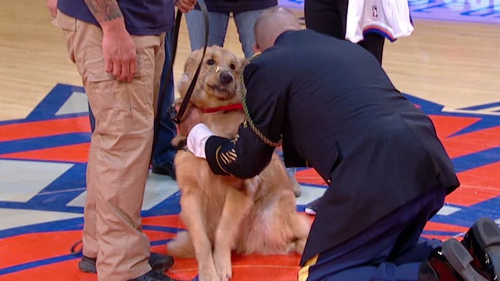 Knicks surprise U.S. Army veteran with service dog - ESPN Video